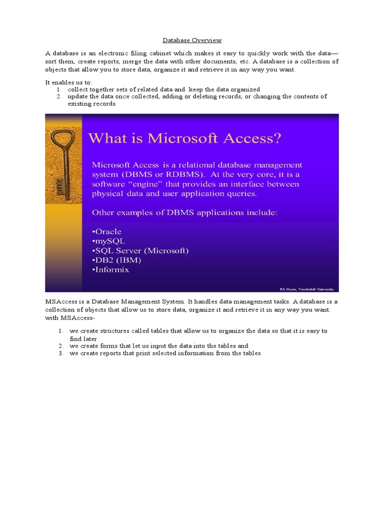 Msaccess Database Management System Pdf Microsoft Access Databases 1130