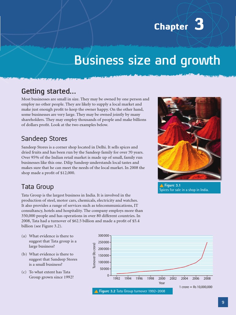 Business Growth: Size and Strategies | PDF | Mergers And Acquisitions ...