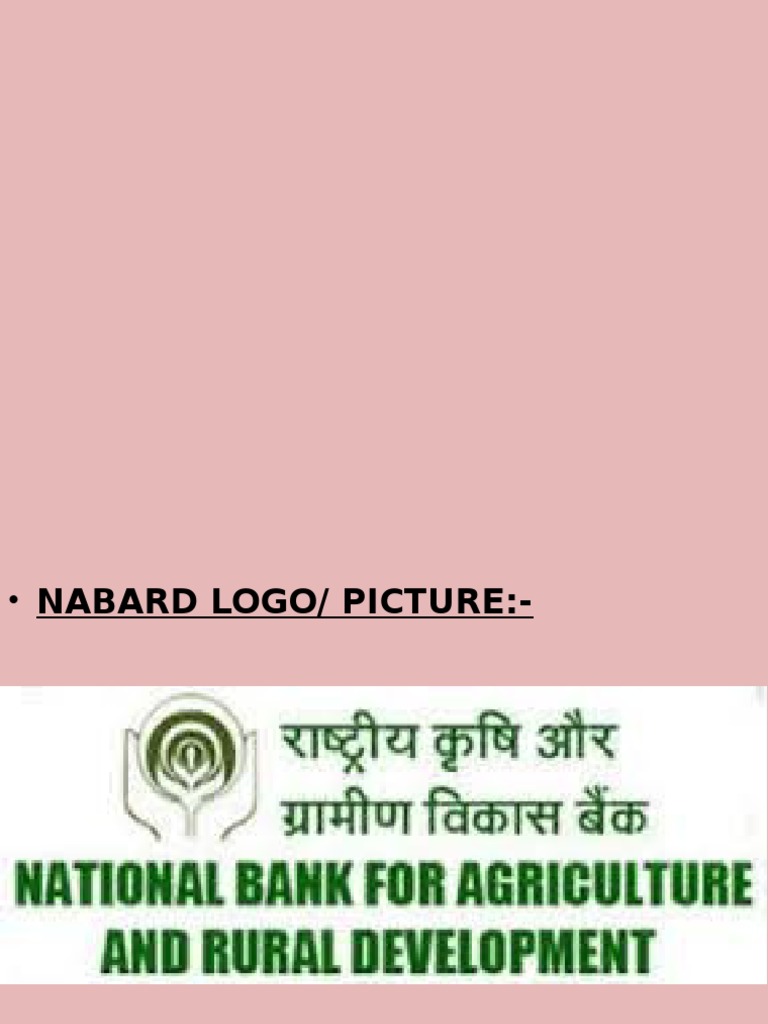 NABARD | PDF | Financial Services | Money