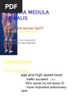 AOSpine Thoracolumbar Injury Classification | PDF | Vertebra ...