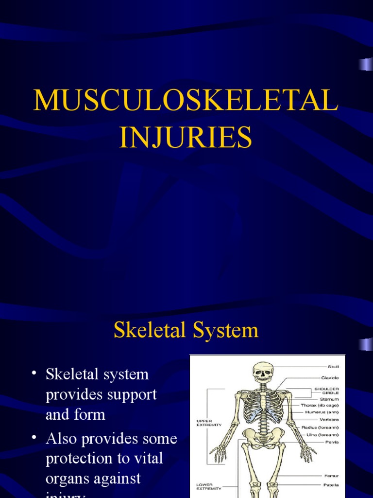 Musculoskeletal Injuries | PDF | Knee | Hip