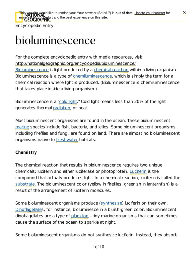 Bioluminescence: Bioluminescence Chemical Reaction Chemiluminescence ...