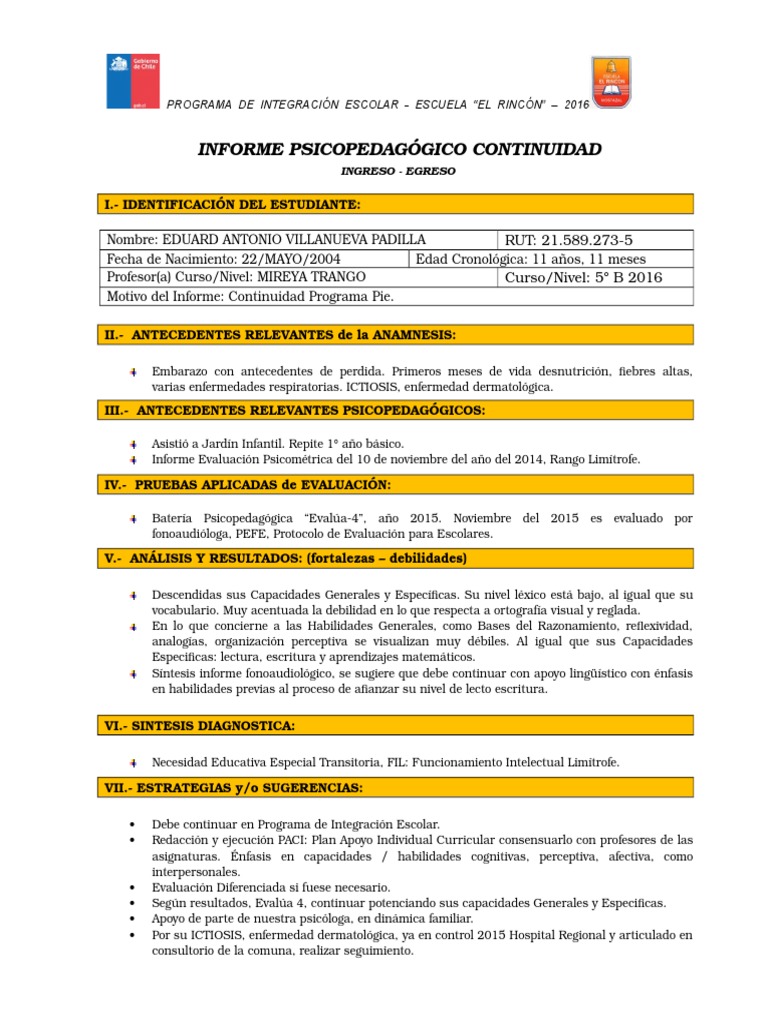 Informe Psicopedagogico | PDF