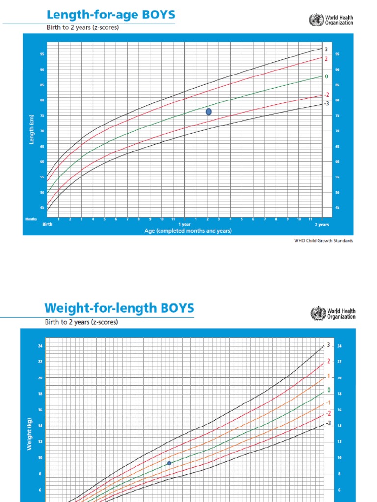 Grafik WHO STTS GIZI CR | PDF