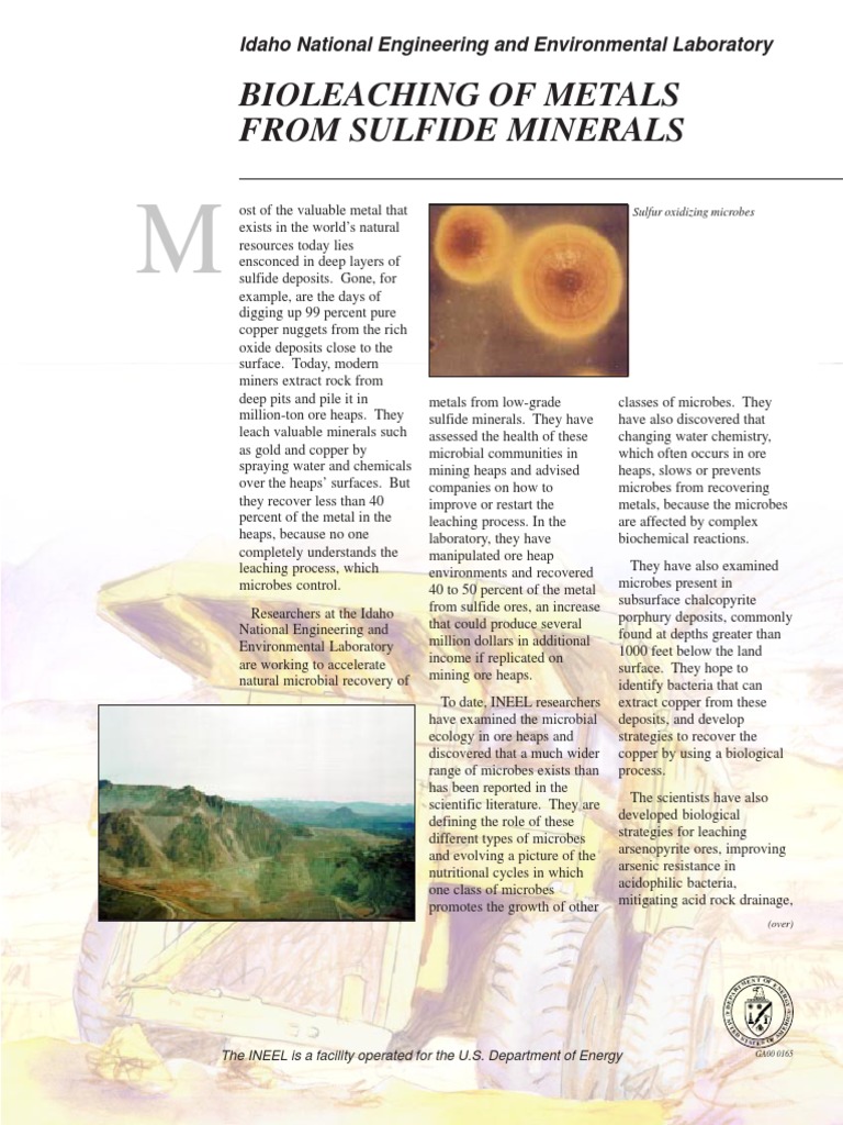 Bio Leaching | PDF | Mining | Copper