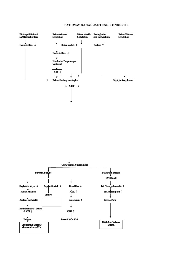 Pathway CHF | PDF