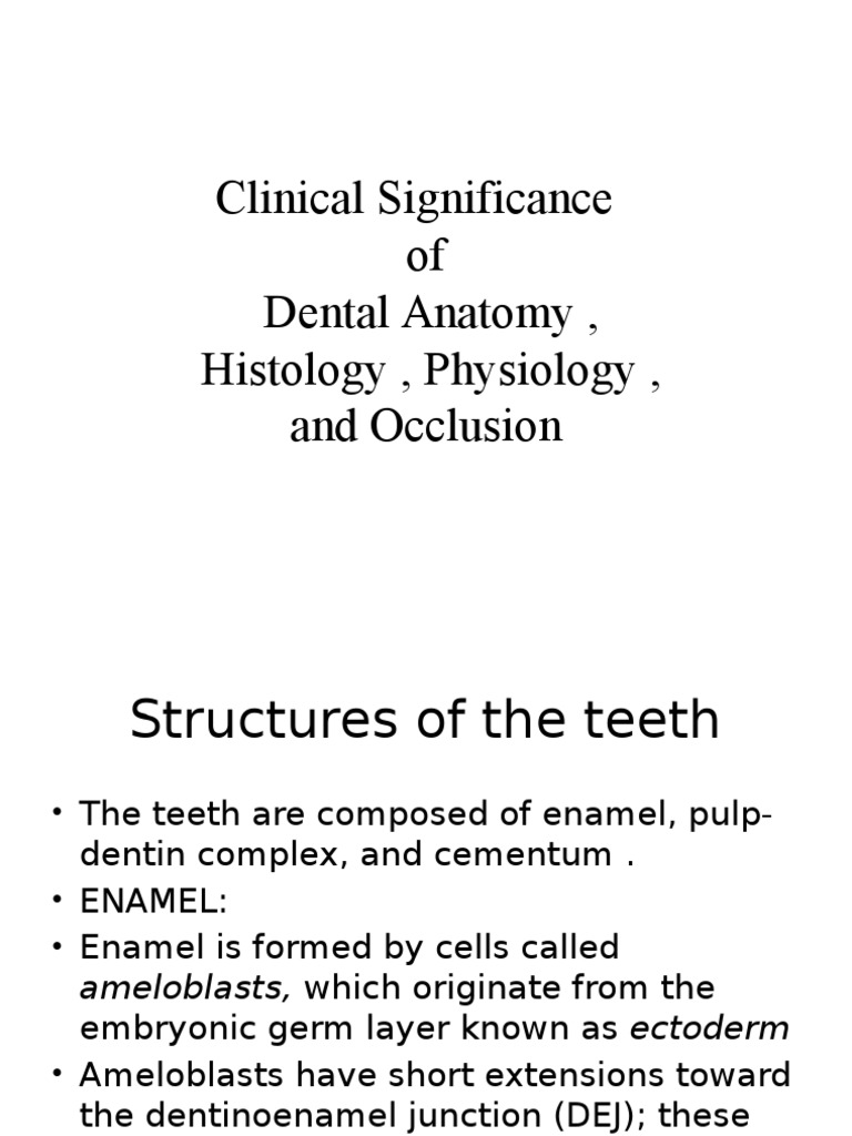 Dental Anatomy and Physiology Insights | PDF | Tooth Enamel | Dentin