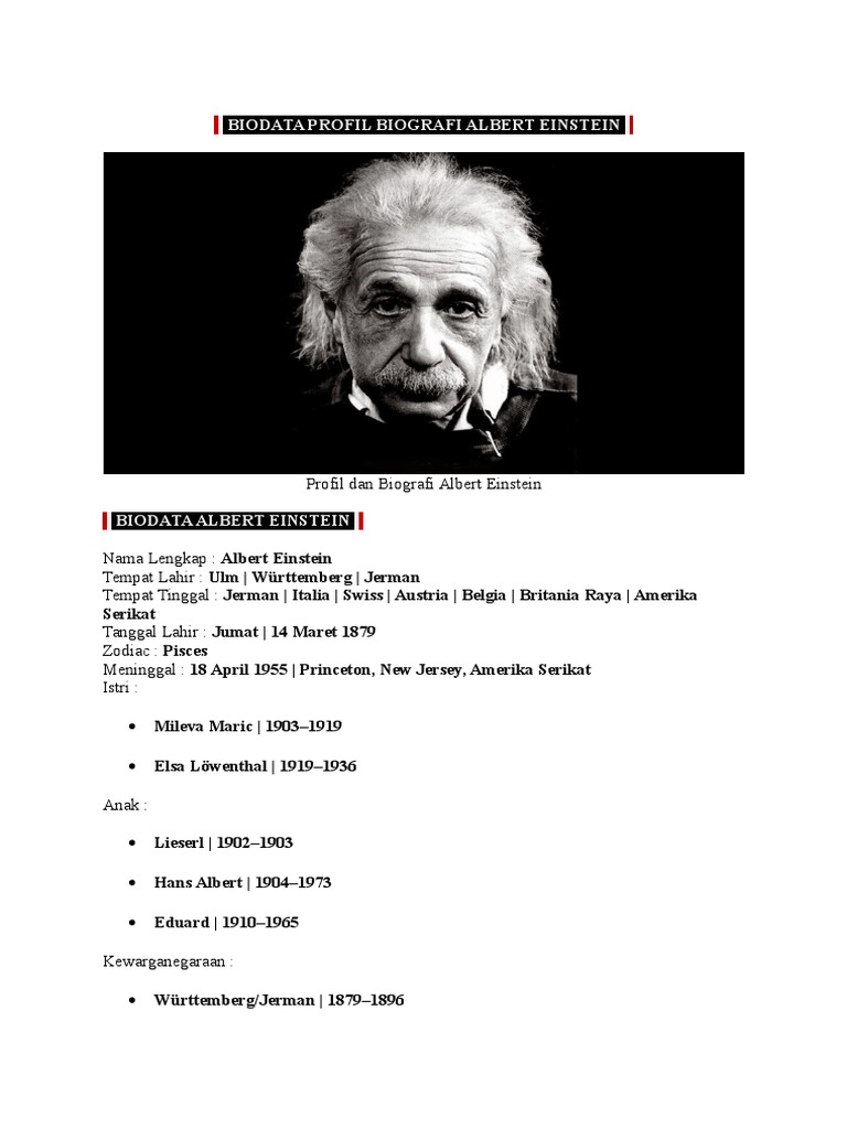 Biodata Profil Biografi Albert Einstein | PDF