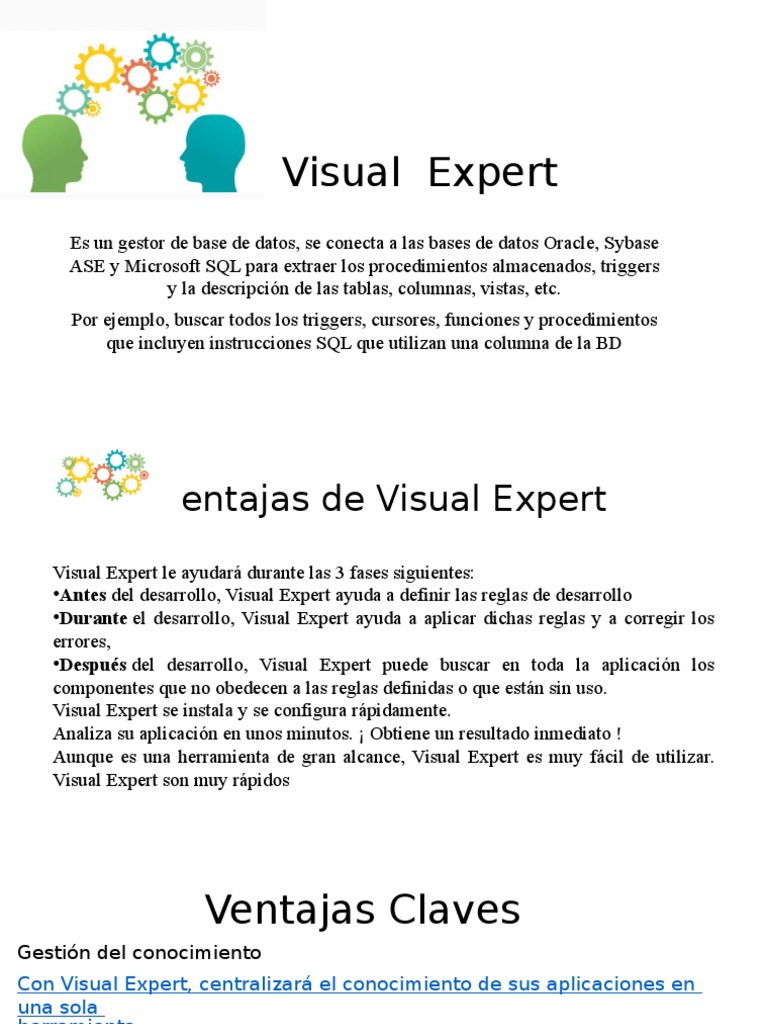 Visual Expert | PDF | SQL | Proceso de desarrollo de software