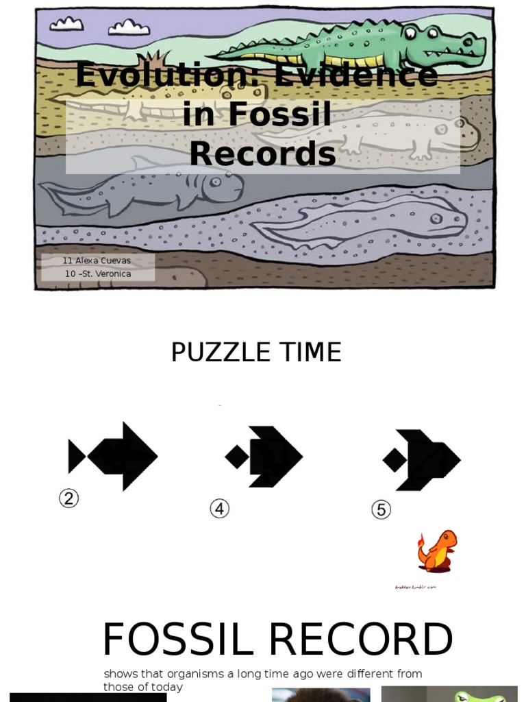 Fossil Records and Evolution Evidence | PDF | Social Science | Science ...