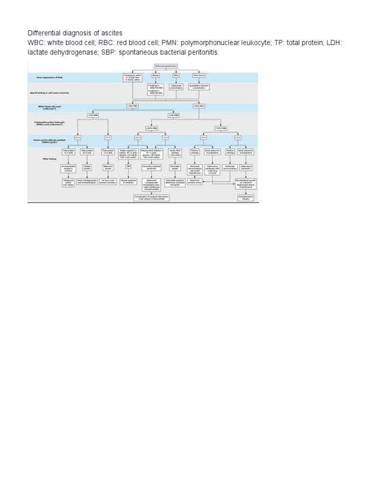 Ascites Dd Algorithm Pdf