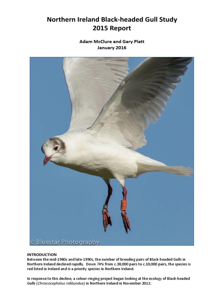 2015 Annual Report | PDF | Ornithology | Birds