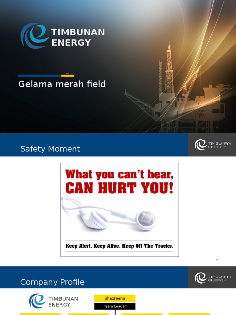FDP Presentation Slide | PDF | Casing (Borehole) | Petroleum Reservoir