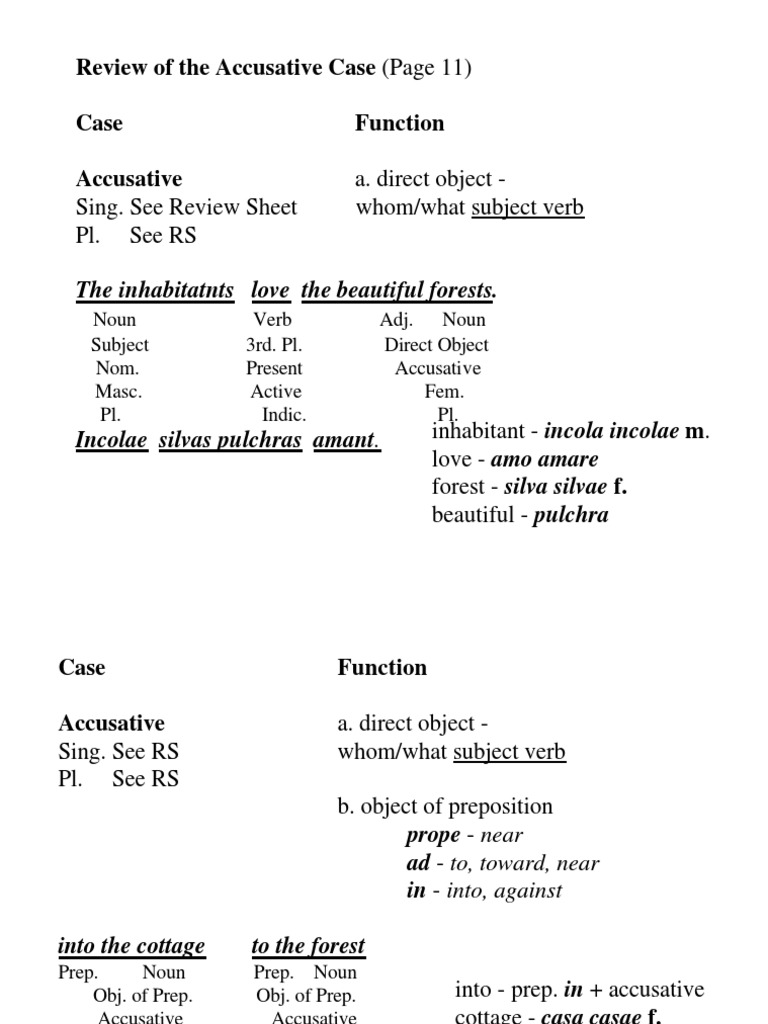 Review of The Accusative Case (Page 11) Case Function Accusative | PDF ...