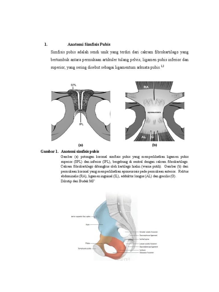 Simfisiolisis 1 | PDF