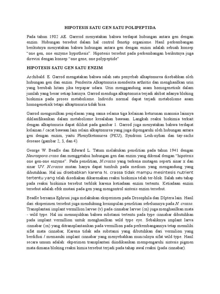 Hipotesis Satu Gen Satu Polipeptida | PDF | Sains & Matematika