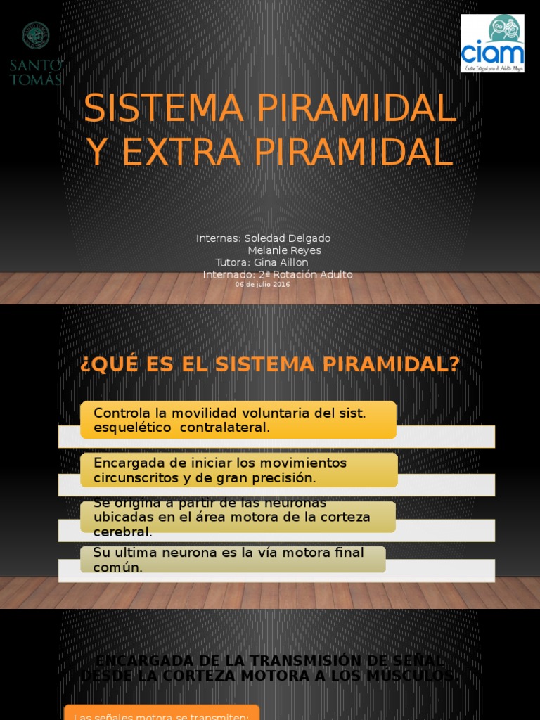 Sistema Piramidal y Extrapiramidal | PDF | Neurobiología | Sistema nervioso central