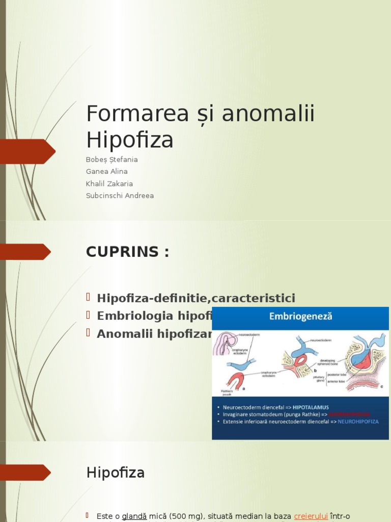 Formarea Și Anomalii Hipofiza | PDF