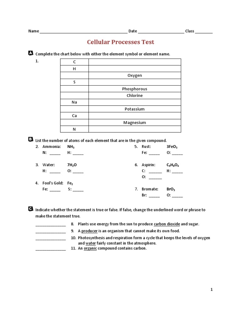 Cellular Processes Test | Download Free PDF | Photosynthesis | Cellular ...