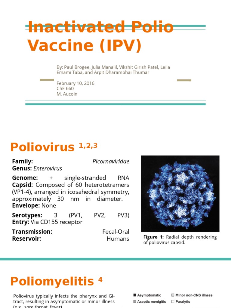 Polio Poster | PDF | Poliomyelitis | Immunology