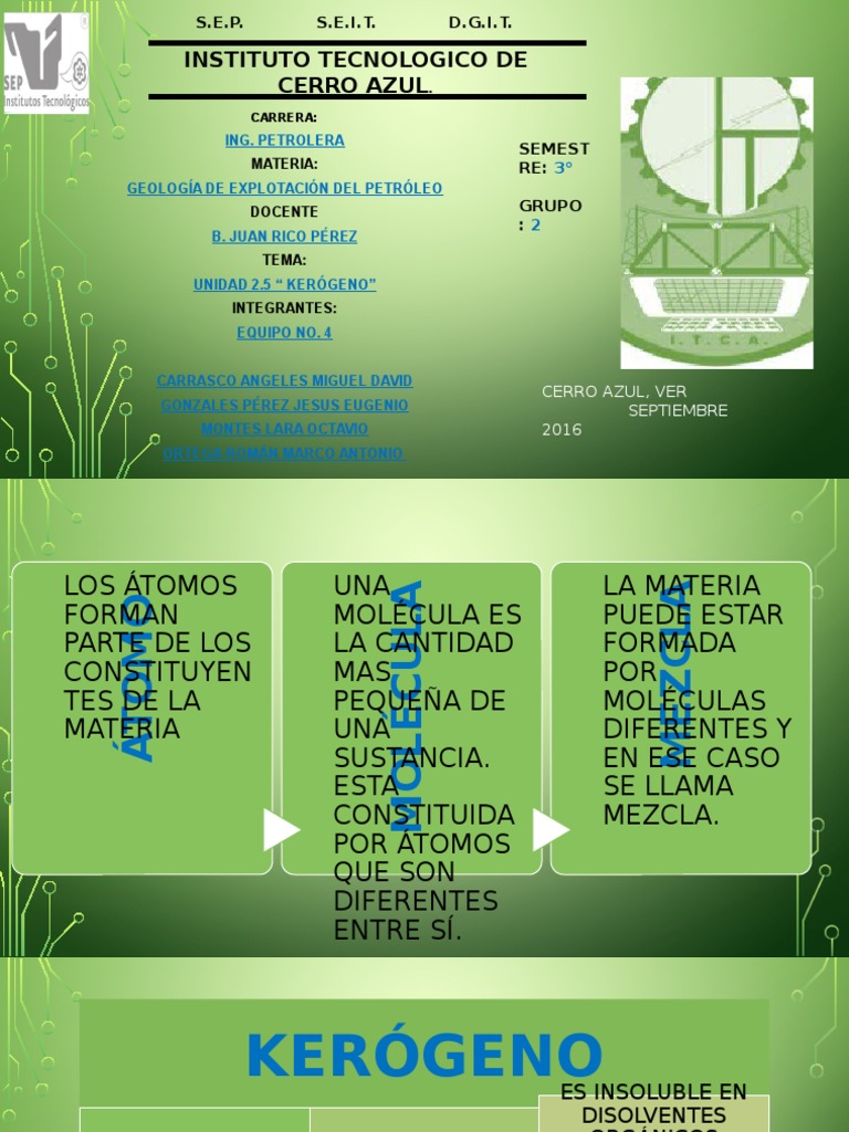 Formación y Tipos de Kerógeno en Geología | PDF | Naturaleza