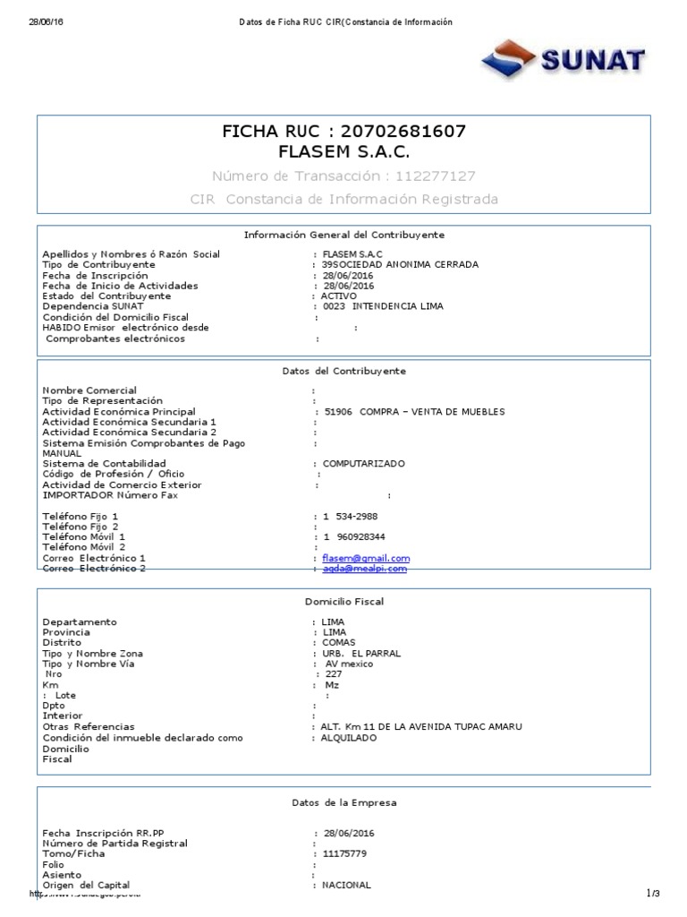 FICHA RUC | Business | Tecnología