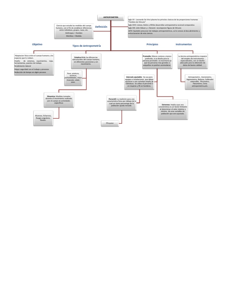 Antropometria Mapa Conceptual | PDF