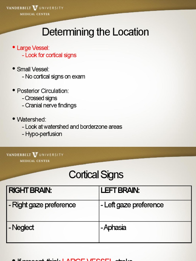 Determining The Location: Large Vessel: - Look For Cortical Signs | PDF