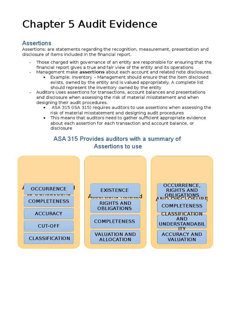 Audit Assertions and Transaction Errors | PDF | Financial Audit | Audit