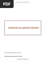 Anatomie Du Perinée | PDF | Anatomie | Bassin (anatomie)
