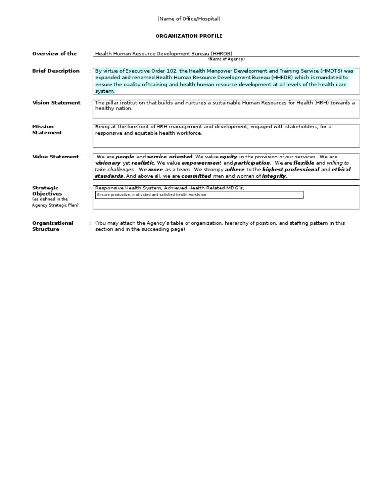 Sample Organizational Profile | PDF