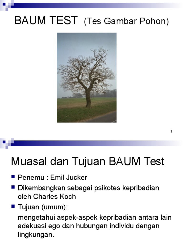 Tes Gambar Pohon: Analisis dan Tujuan | PDF | Pengembangan Diri | Sains ...
