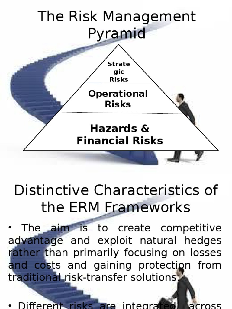 The Risk Management Pyramid | PDF