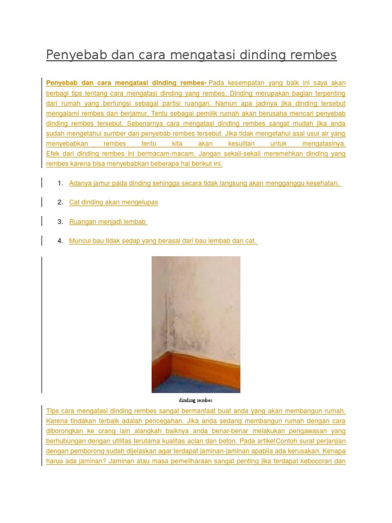 Penyebab Dan Cara Mengatasi Dinding Rembes Pdf