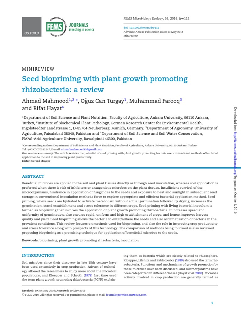Seed Biopriming PGPR Introd | PDF | Bacteria | Soil