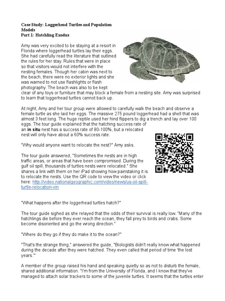 Loggerhead Turtle Conservation Study | PDF | Biology | Conservation