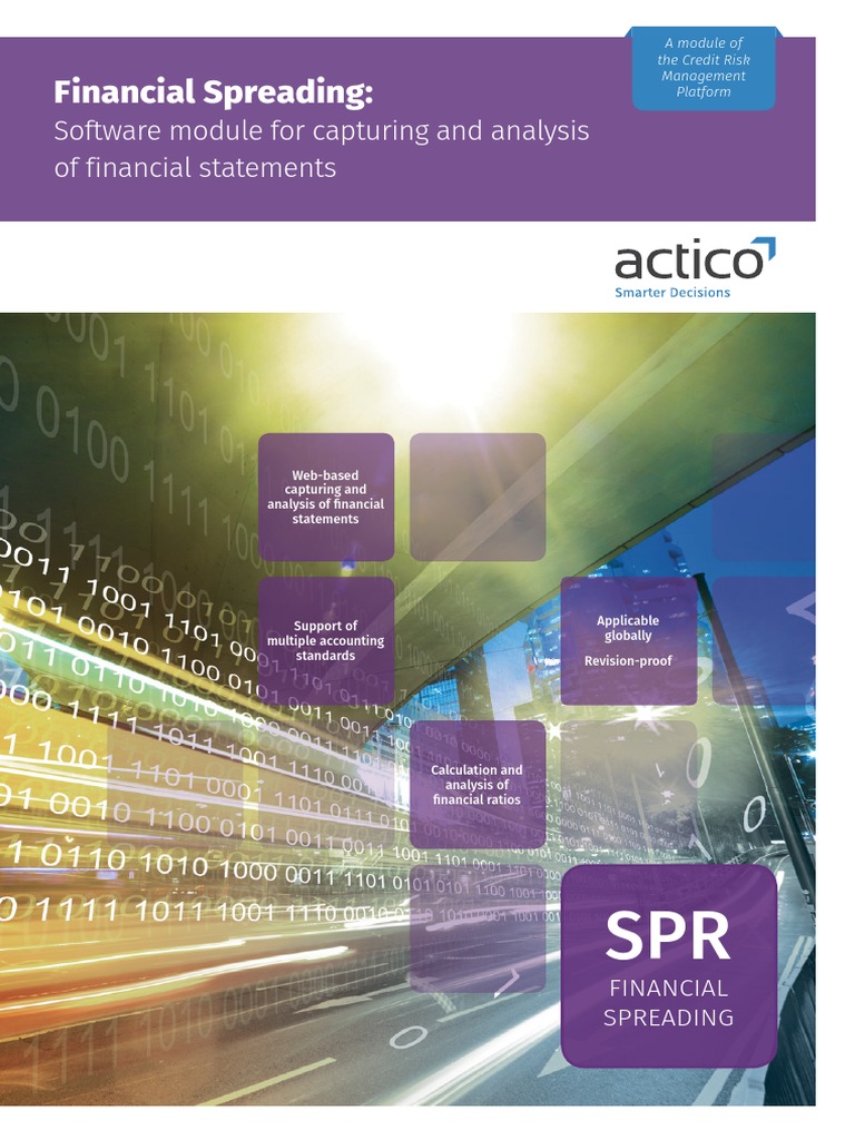 Financial Spreading Brochure en | PDF | Financial Ratio | Financial ...