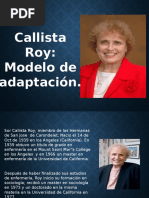 Callista Roy y Su Teoria | PDF | Enfermería | Las emociones