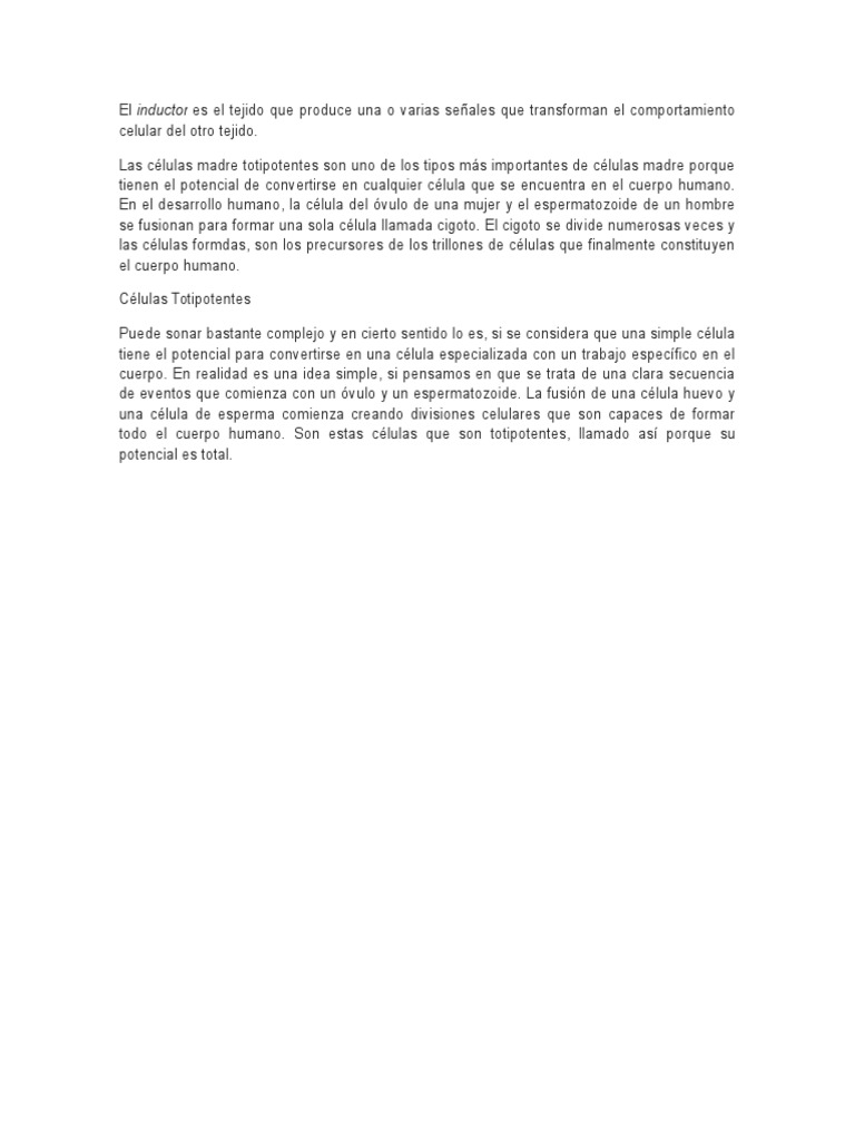 Celula Totipotente | PDF