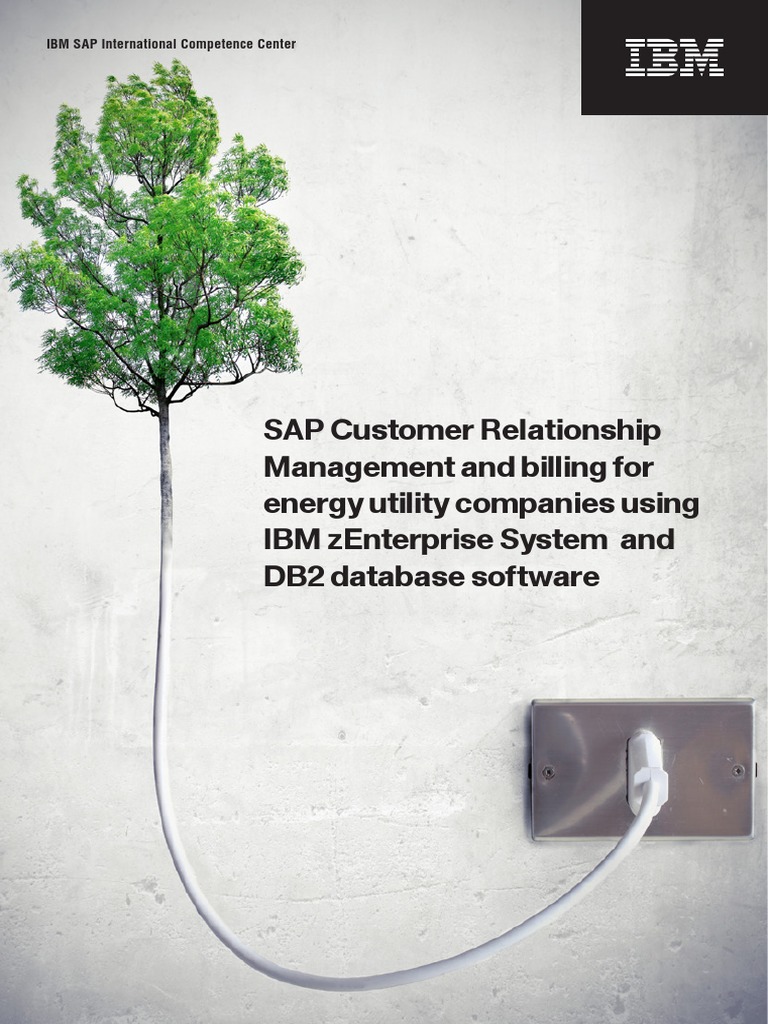 SAP Utilities From IBM | PDF | Electrical Grid | Smart Grid
