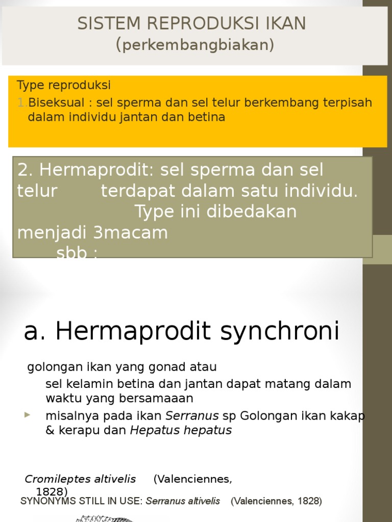 Sistem Reproduksi Ikan: Tipe dan Proses | PDF