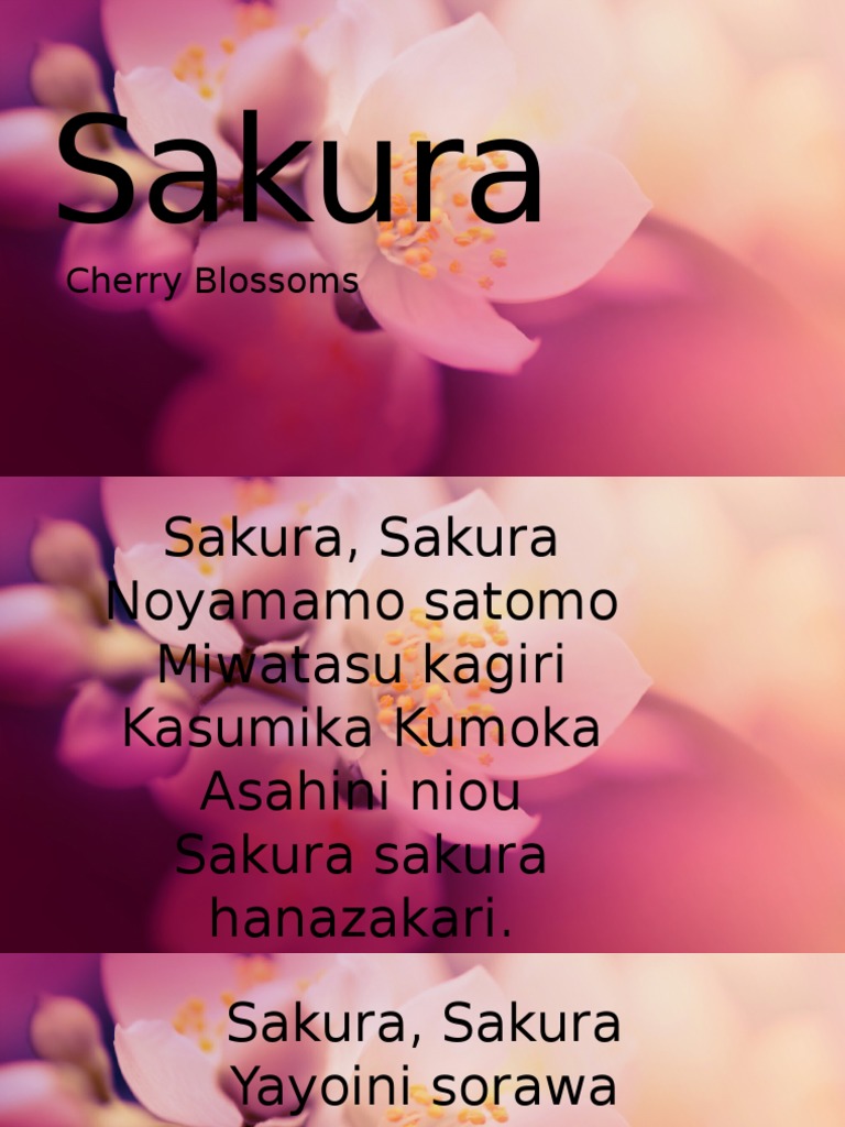 Sakura Complete Lyrics Japanese Song | PDF | Home & Garden | Poetry
