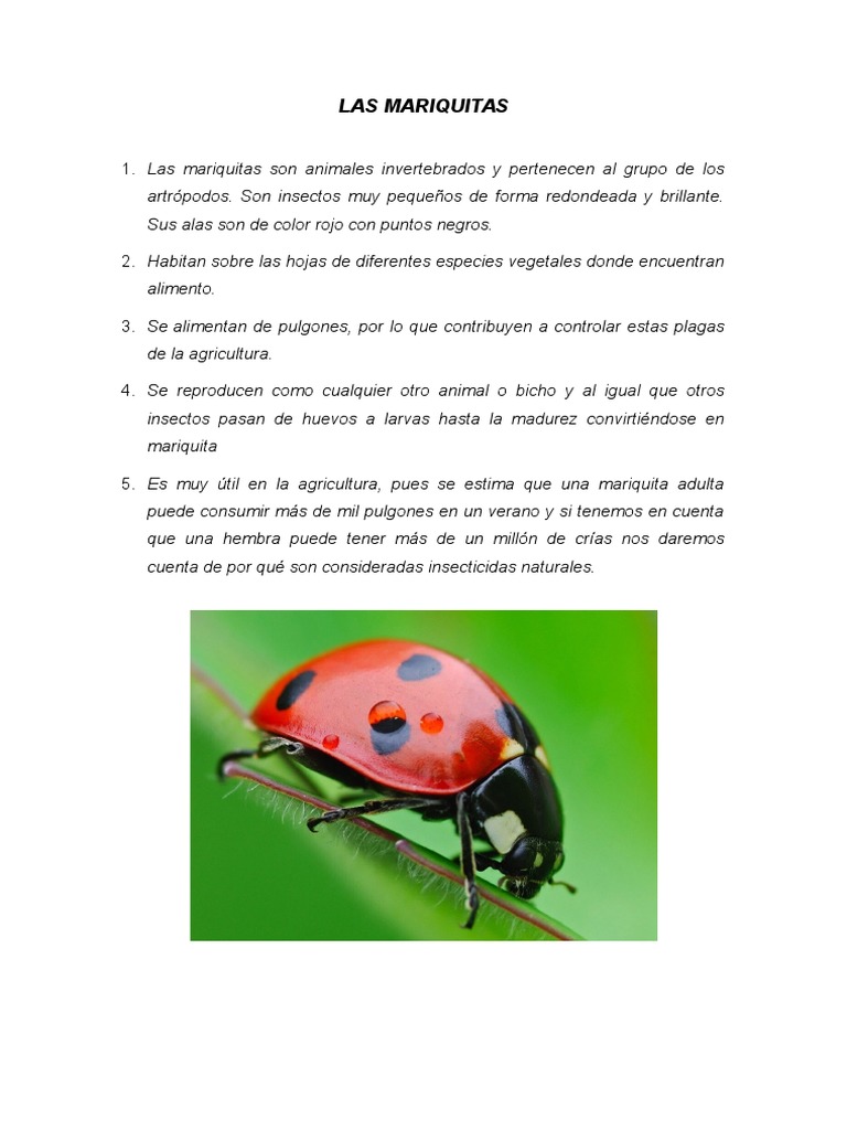 Las Mariquitas | PDF