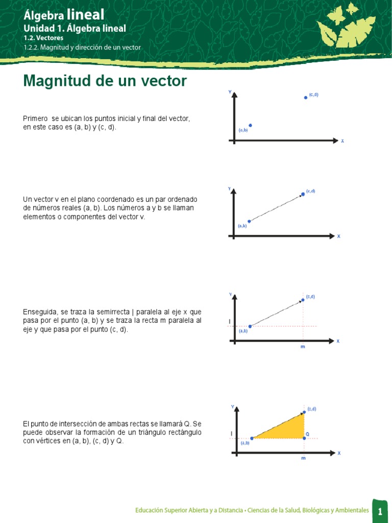 Magnitud de Un Vector PDF | PDF | Vector Euclidiano | Longitud