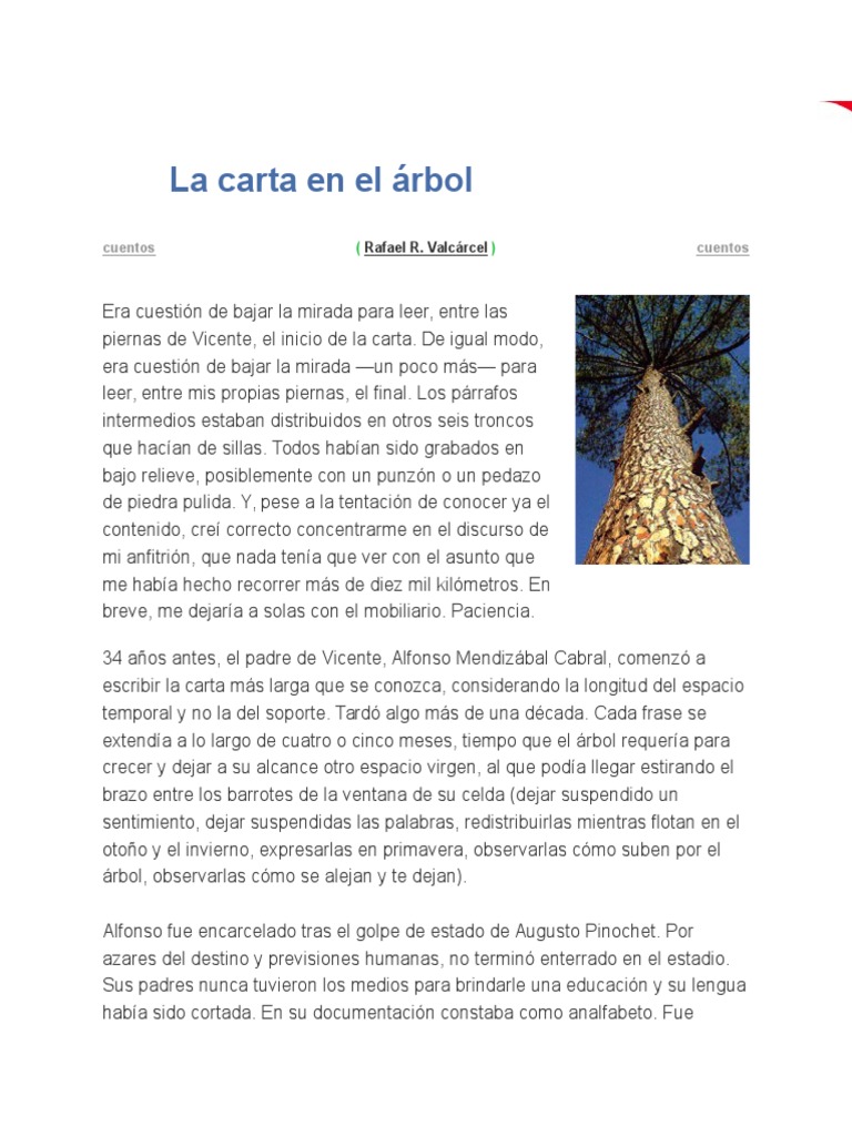 La Carta en El Árbol | Ocio