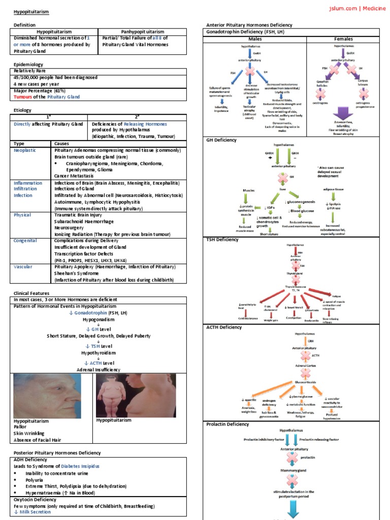 Hypopituitarism | PDF | Organ (Anatomy) | Animal Anatomy