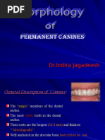 Types of Embrasures in Dentistry | PDF