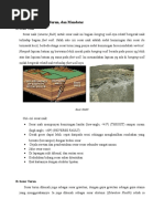 Struktur Primer Dan Struktur Sekunder | PDF