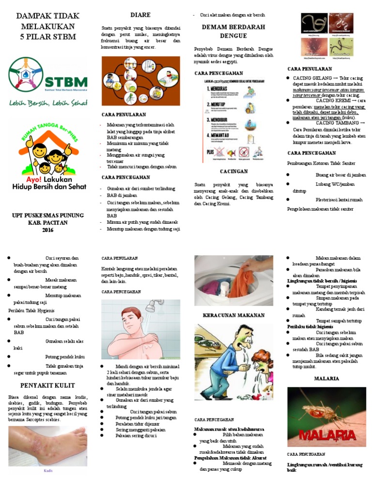 Leaflet STBM | PDF