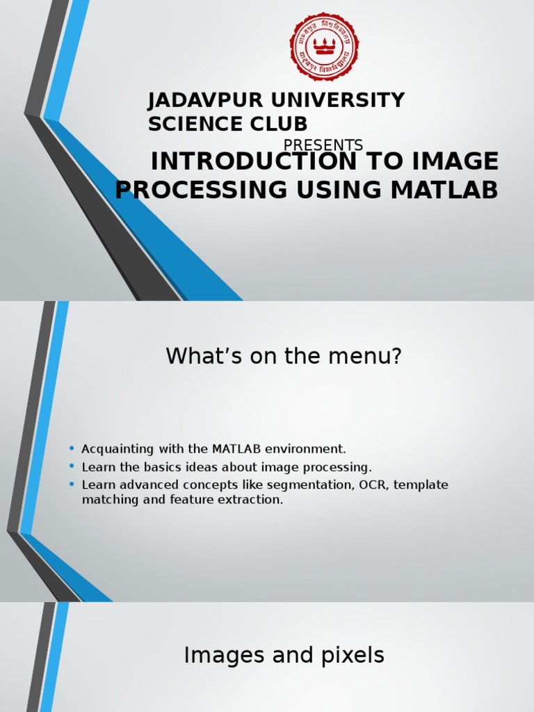 Image Processing Using Matlab | PDF | Image Segmentation | Cybernetics